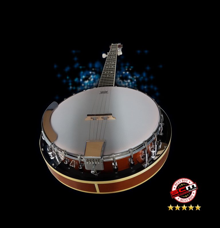 Five String Banjo Ashton BNJ50 Remo Head Dual Coordinator Rods PRO-SCM ...