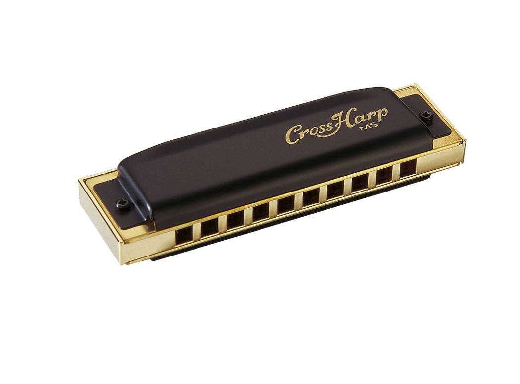 HOHNER F SHARP LOW CROSS HARP HARMONICA 565/20 10 HOLE 20 REED – South ...